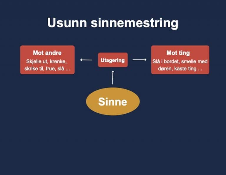 Sinne - Hva er sinne? - Sunn og usunn sinnemestring